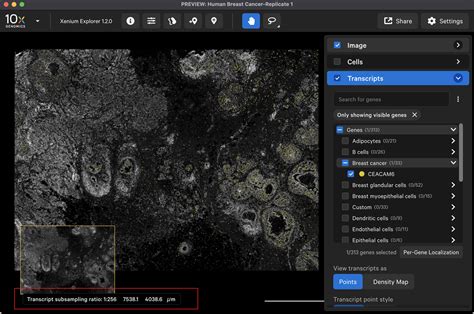 Xenium Explorer Navigation - Official 10x Genomics Support