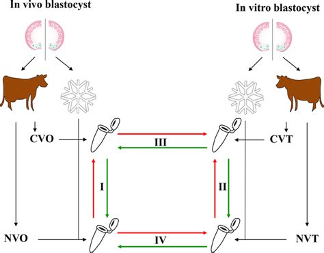 The Experimental Design Used For Comparative Gene Expression Analysis