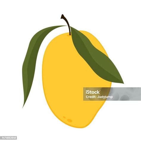 Mango Vector Mango On White Background Logo Design Mango Cartoon Vector Thailand Dessert向量圖形及更多