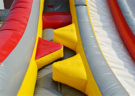 Ice Age Theme Inflatable Slide Rental Double Slide With Palm Tree