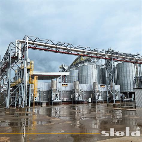 New Opening Of Acon Timber In Argentina Stela Belt Dryer Part Of The Sawmill
