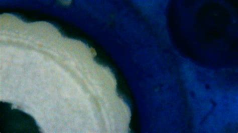 Flat Root Spline Vs Filet Root Spline Whats The Difference Qanda Answertion