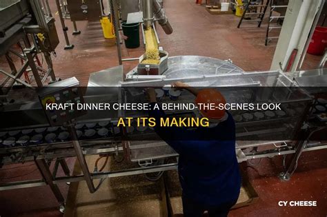 Kraft Dinner Cheese A Behind The Scenes Look At Its Making Cycheese