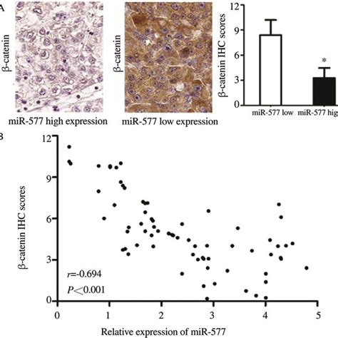 Expression Of Mir 577 In Hcc And Matched Tumor Adjacent Tissues