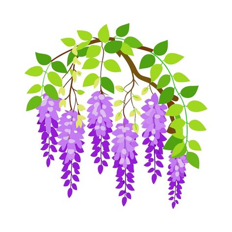 藤の花 イラスト 画像 Freepikで無料ダウンロード