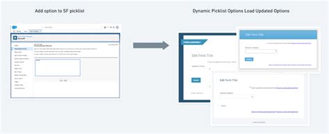 why dynamic picklists are the web form feature you can t live without