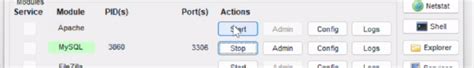 Como Instalar O Xampp No Windows Passo A Passo Wildarte