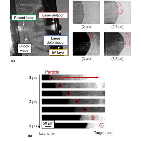 Observation Of Microparticle Launch Behavior A And Microparticle