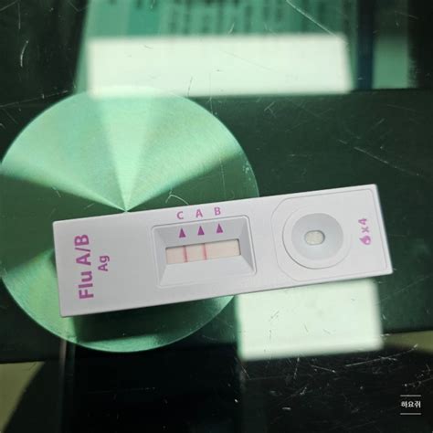 A형 독감 증상 페라미플루 수액 후기부터 실비 청구서류 확인 네이버 블로그