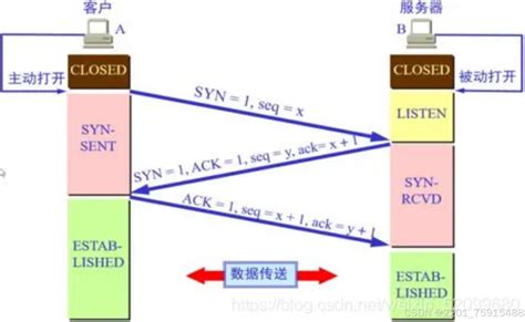 Linux网络基础知识————网络编程linux Ntohs Csdn博客