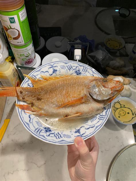 【鲫鱼汤的做法步骤图，鲫鱼汤怎么做好吃】我是吃猫的鱼下厨房