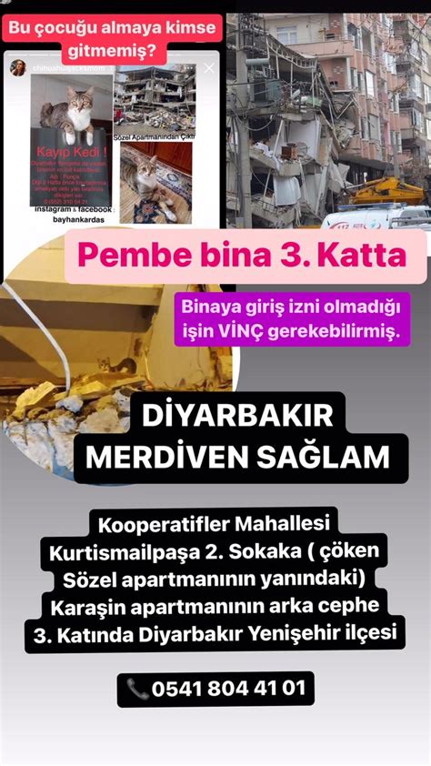 Hülya Erge on Twitter Su anda gizli gizli yikiyorlar diyor sahibi ne yapacagiz kimse gitmemis