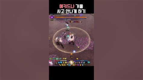에키드나 거울 사고 안나게 하기 Shorts 로스트아크 로아 에키드나 Youtube