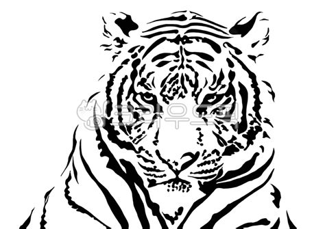 호랑이 호랑이누끼 호랑이일러스트 호랑이png 호랑이흑백 사진 이미지 일러스트 캘리그라피 딩딩작가