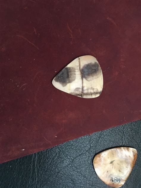 Turtle Shell Guitar Pick Etsy