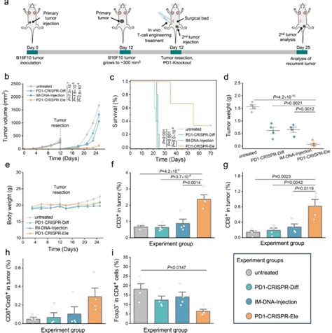 【nature子刊】淋巴结t细胞基因编辑：香港城市大学史鹏团队为癌症免疫治疗带来新希望！ 腾讯新闻
