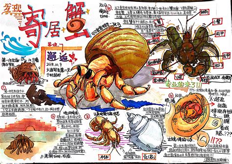 沈阳市青少年自然笔记大赛9个作品脱颖而出荣获一等奖 国际在线移动版