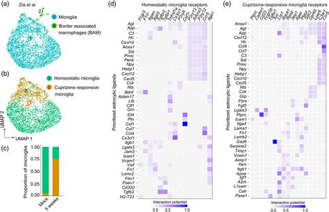 Deciphering The Crosstalk Propensity Between Reactive Astrocytes And
