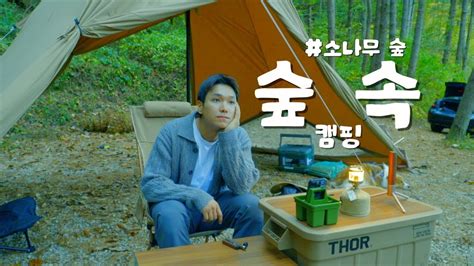4k 숲속에서 하룻밤🌳 솔로캠핑 경기도가평 노지같은 캠핑장 소개 애견동반캠핑 Solocamping I 캠핑