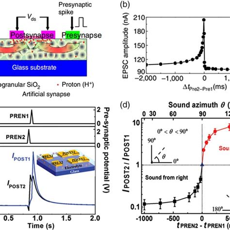 A Schematic Diagram Of A Laterally Coupled IZObased Neuromorphic