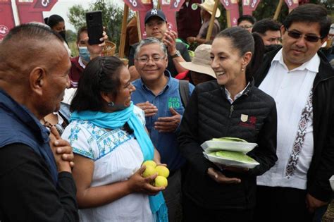 Sheinbaum Busca Elevar A Rango Constitucional El Apoyo Al Campo De La CDMX NOTICIAS Capital 21