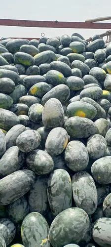 Hybrid Watermelon Seeds Packaging Type Bag Packaging Size 10 Kg At