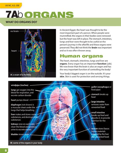 Download PDF Exploring Science 7 International 11 14 Grade 7 babe Book Shop Ngoại Ngữ