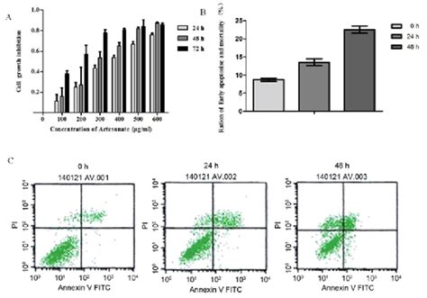 Effect Of Artesunate On The Rate Of Eoma Cell Growth Inhibition And The