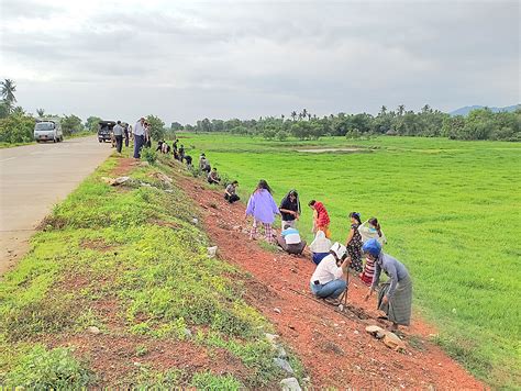 အမြို့မြို့အနယ်နယ်၌ မိုးရာသီသစ်ပင်စိုက်ပျိုးပွဲတော်ကျင်းပ Myawady