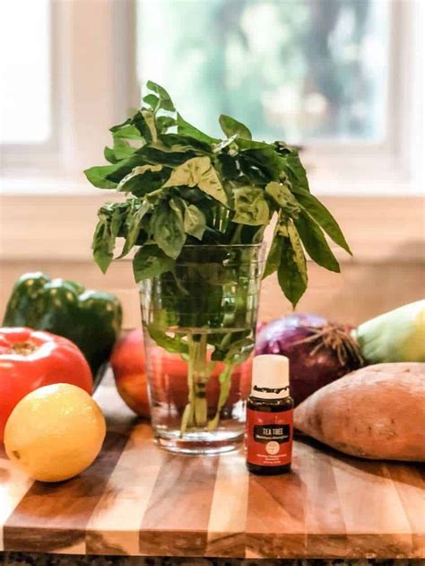 How To Store Fresh Basil Life With Ashley T A Charleston Life Style Blog Storing Fresh