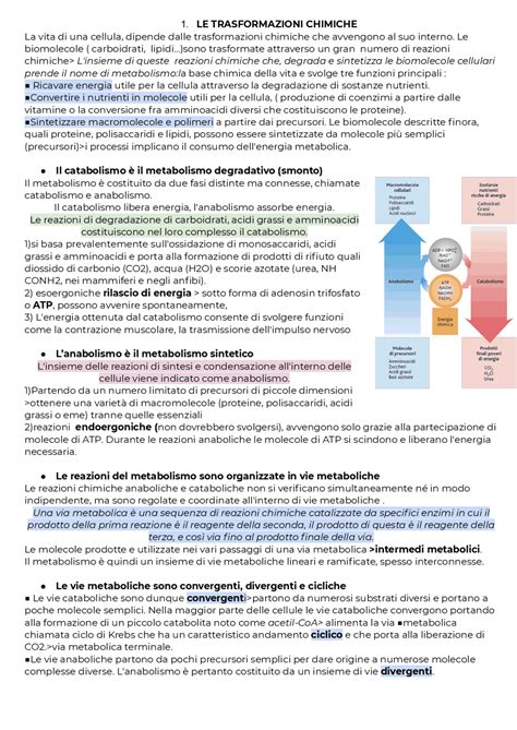 MaturitÀ Sintesi Glicolisi Ciclo Di Krebs Fosforiliazione Ossidativa