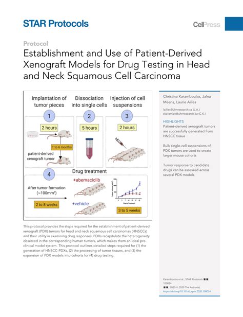 Pdf Establishment And Use Of Patient Derived Xenograft Models For