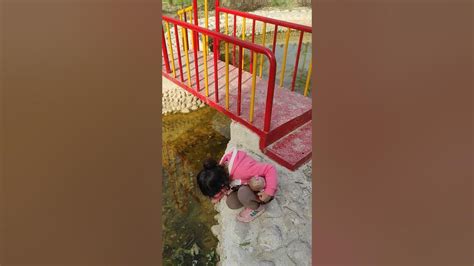 بنين تعلب في حوض الماء😍😂 Youtube