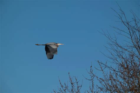 Asset Migration Photos Download The Best Free Asset Migration Stock