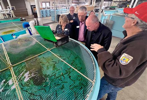 Circling New Opportunities Biomass Magazine