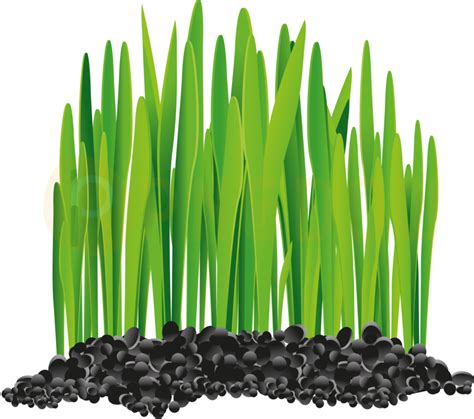 Grass Vector Png Photo 16227 Pngdow Png Images And Vectors Free
