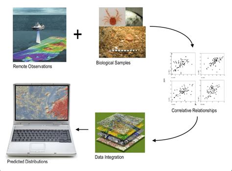 Diagram Illustrating The General Process Of Predictive Mapping In The Download Scientific