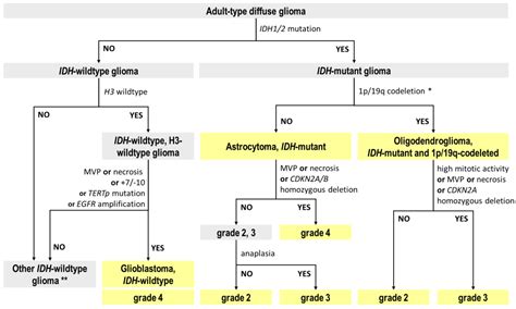 reclassification of tcga diffuse glioma profiles linked to