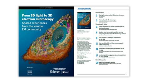 from 3d light to 3d electron microscopy ebook