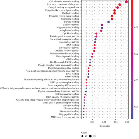 Analysis Of Gene Enrichments A Enriched Gene Ontology Go