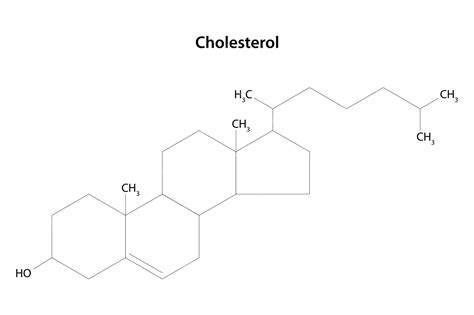 Premium Vector Cholesterol Molecule Structural Formula
