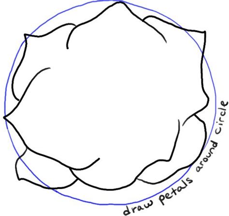 How To Draw Roses Opening In Full Bloom Step By Step Drawing Tutorial