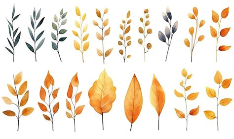 Premium Photo Assorted Leaves On White Background