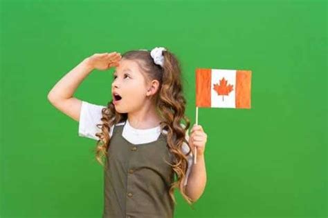 The Significance Of A Study Visa Consultant Recentdrone