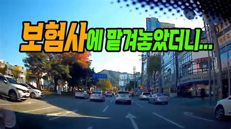 22961회 상시 유턴 구역에서 유턴하는 상대가 직진하는 블박차를 들이받은 사고 YouTube
