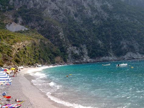 Thapsa Photo From Oxylithos In Evia