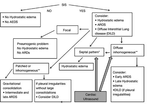 Algorithmic Approach For The Ultrasound Diagnosis Of Ards The Presence