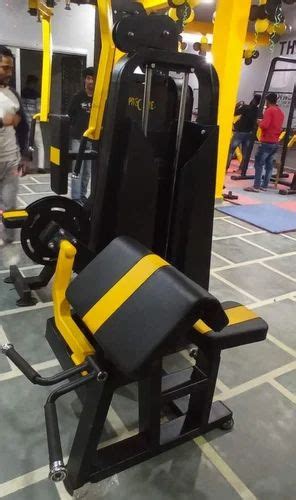 Bicep Curl Machine At 35000 Gym Equipments In New Delhi ID 2849079069591