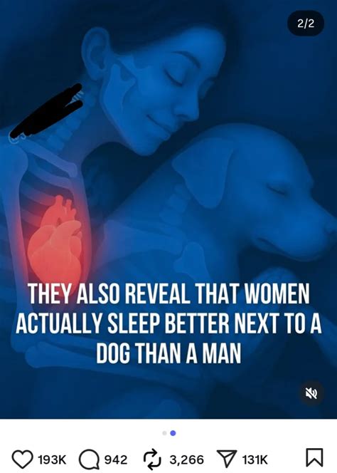 New Dogpill Evidence Get The Fuck In Here Dogs Mogging Us Looksmax