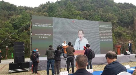 人工繁育黑叶猴全球首次放归自然栖息地 中国动物学会灵长类学分会